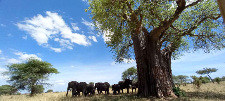 Kitonga Tours | Home